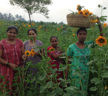 Blog: Ranphul Mahila Mandal: Flowers in the Country | MarketPlace India ...